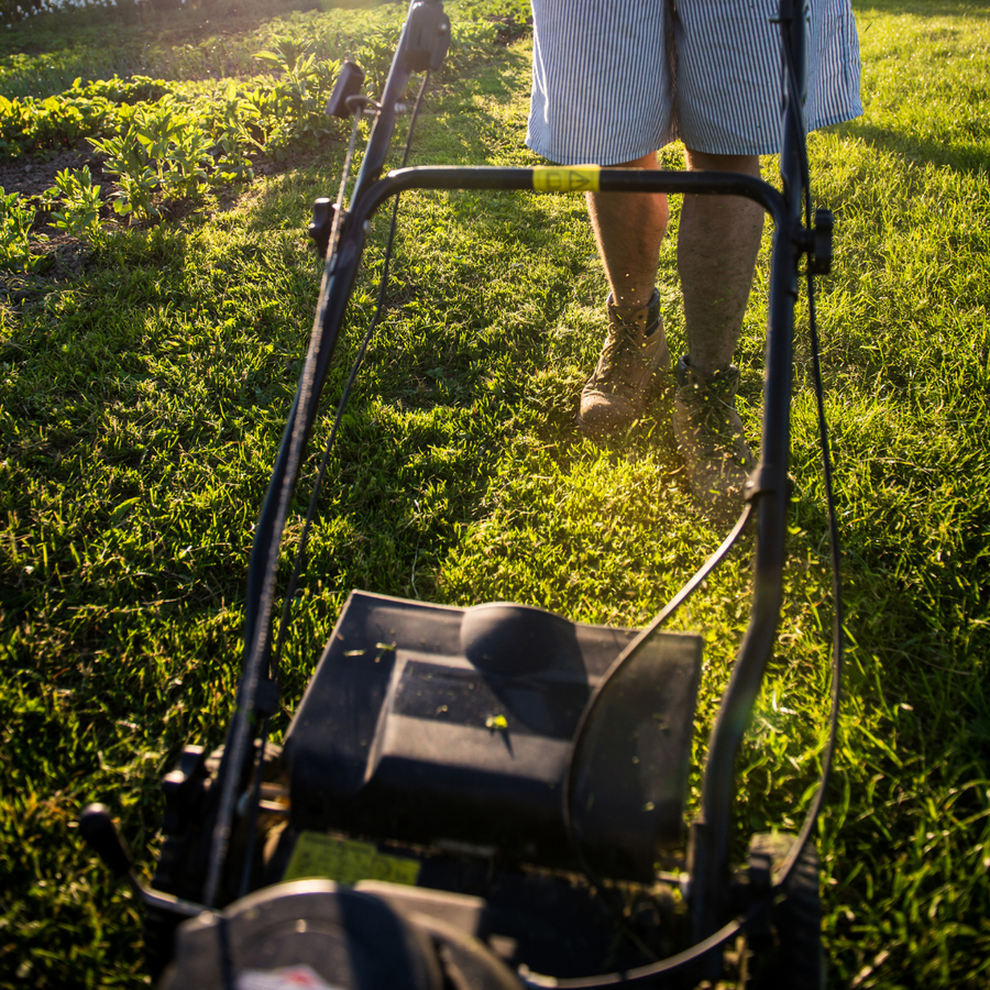 Products – Red Maple Landscaping